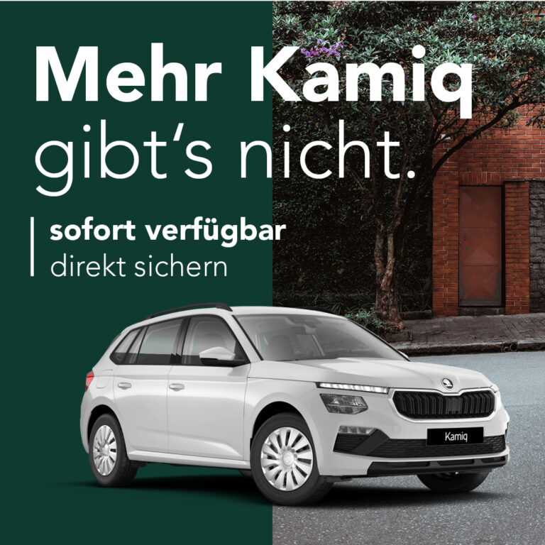 Škoda Kamiq Lagerwagen | Automobilgruppe Harz-Leine GmbH